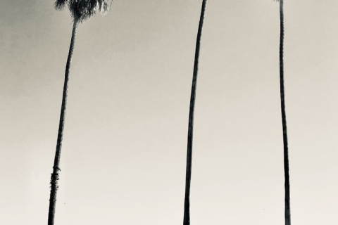 Current Exhibitions – The Image Flow - Photography Services ...