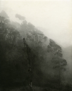 Art Served on Plates — Intaglio Photogravure Print Exhibition - The ...