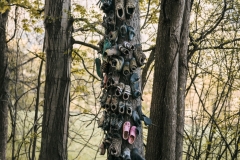 Photo of the Month – December 2025: Abundance - The Image Flow