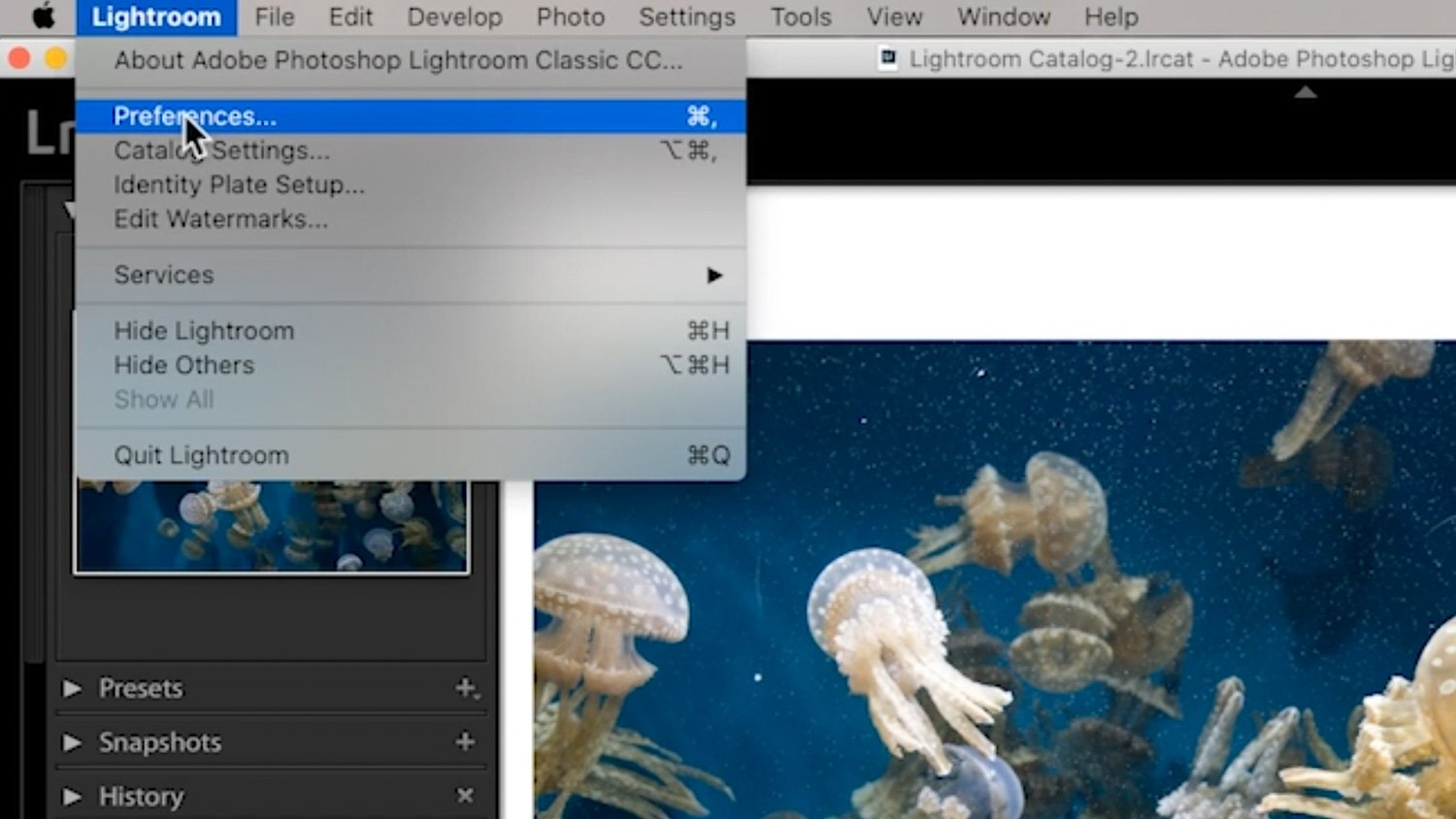 Lightroom Edit in Photoshop Settings - The Image Flow