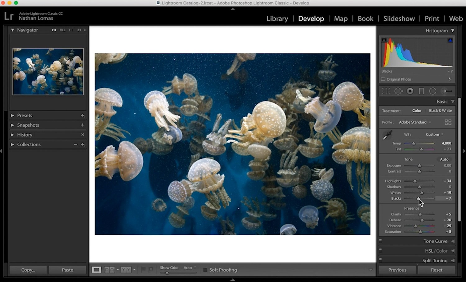 Lightroom Edit in Photoshop Settings - The Image Flow